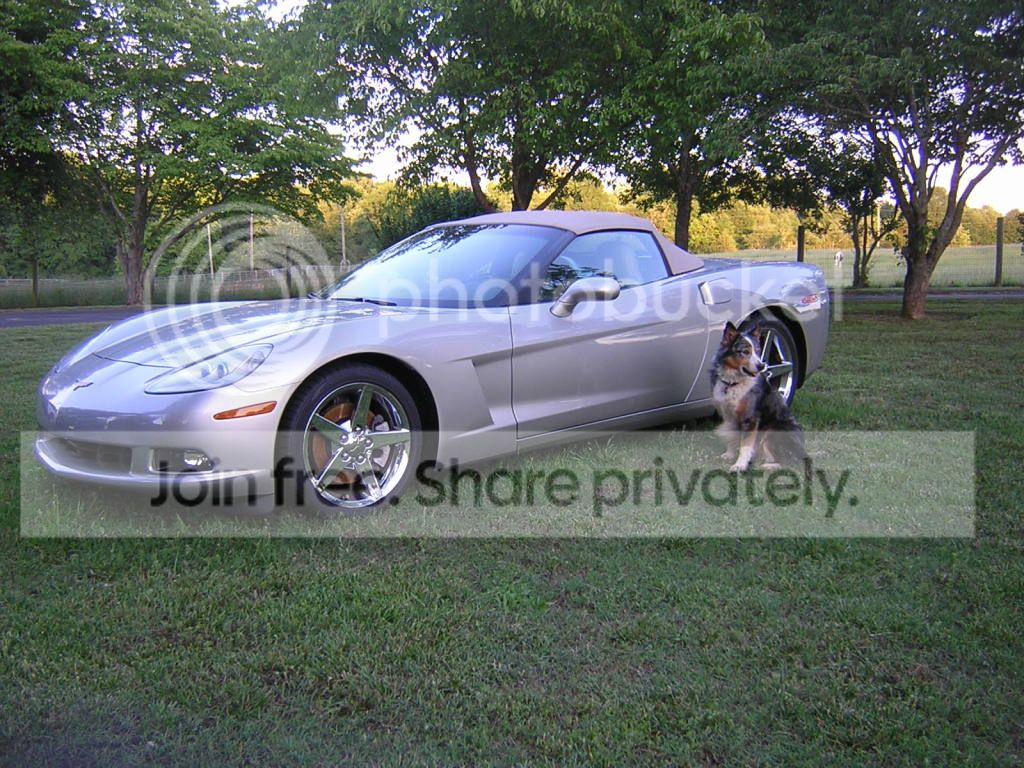 Post your favorite machine silver C6 - Page 2 - CorvetteForum ...