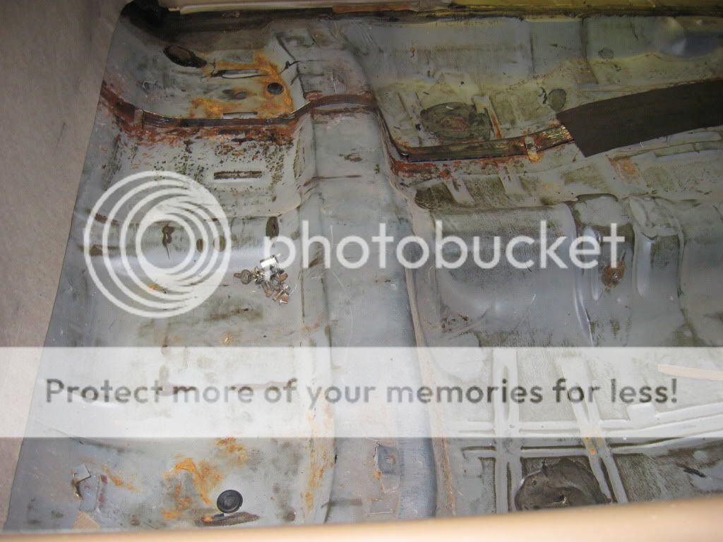 Project "G-Velle" | Team Chevelle